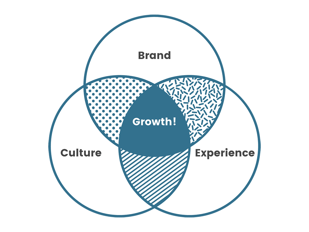 How To Build an Extraordinary Patient Experience Program